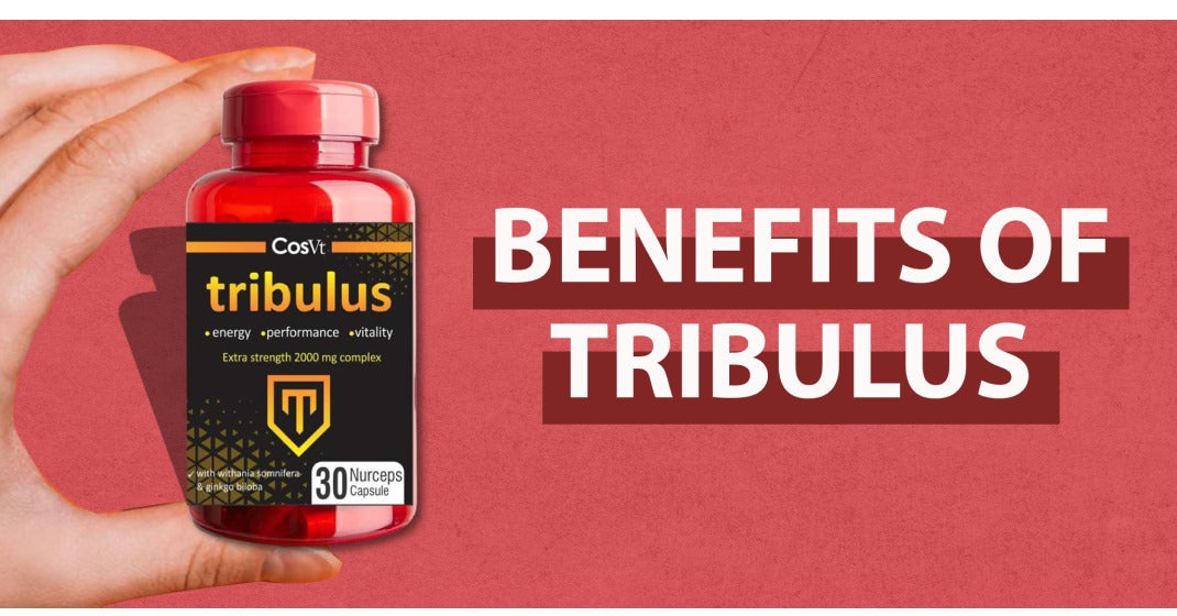 Unveiling the Power of Cosvit Tribulus 250 mg Capsules: A Comprehensiv ...